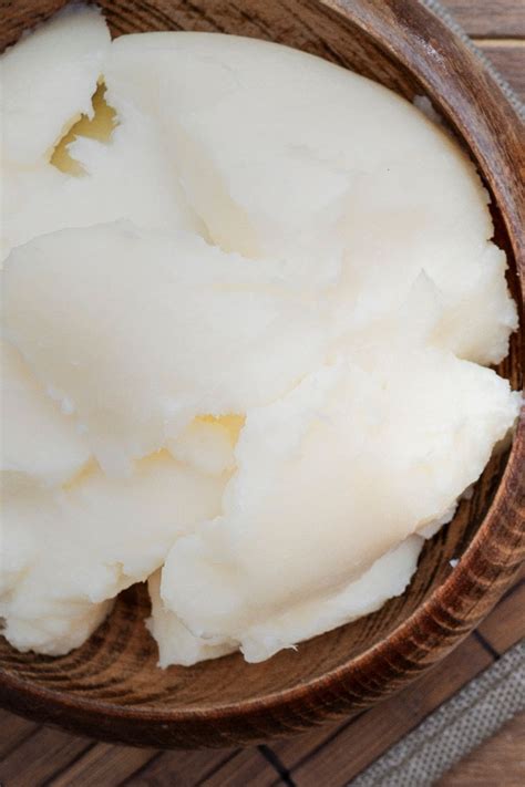 Lard Substitute 6 Essential Replacements You Should Know