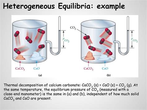 Heterogeneous Equilibria Basic Conceptspdf