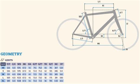 What Frame Size Bike Do I Need