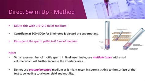 Semen Preparation Methods Principles And Techniques Pptx