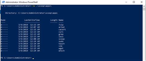 Install Applications From Windows Command Line Interface Computingforgeeks