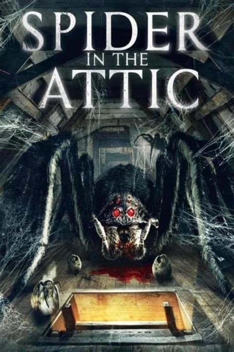 Stream Spider In The Attic 2021 Find It On Netflix Prime Video Hulu And More