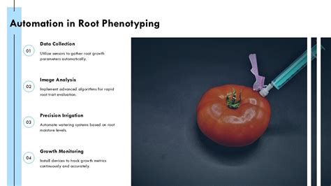 Root Phenotyping Techniques For Enhanced Plant Growth Ppt Sample St Ai