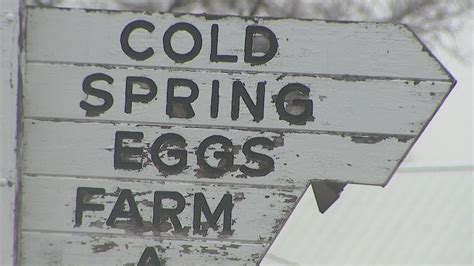 Palmyra Bird Flu Carcass Compost Plan Worries Neighbors Fox6 Milwaukee