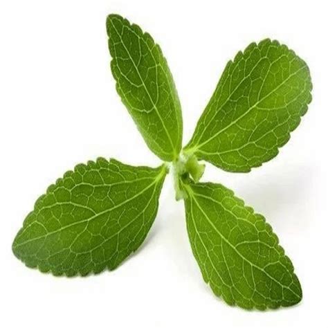 Stevia Extract Powder At ₹ 3700 Kg Sweetleaf Powder In New Delhi Id 14267040997