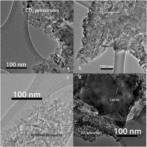 Schematic Of The Dissolution Precipitation Process Download