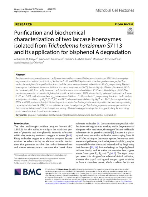 Pdf Purification And Biochemical Characterization Of Two Laccase Isoenzymes Isolated From