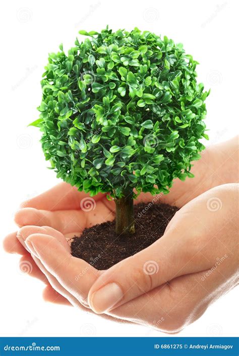 Mains Et Arbre Humains Image Stock Image Du Saleté Abstrait 6861275