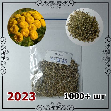 Пряные травы, Различные травы Пижмы обыкновенной 1000+ шт - купить по ...