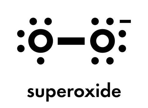 Oxidation Is Killing Us Antioxidants In Foods Can Neutralize The Free