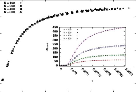 Scaling Of The Average Number Of Active Nodes Nactive See Text With