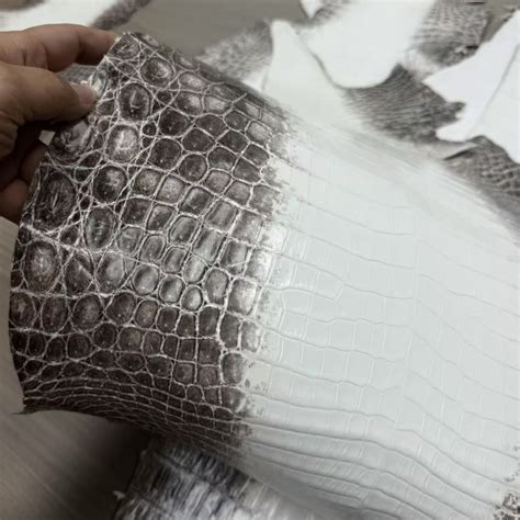 All You Need To Know About Exotic Crocodile Leather Sunny Exotic Leathers