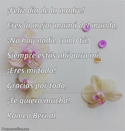 Cinco Mejores Poemas Para El Día De La Madre Con Rima Consonante