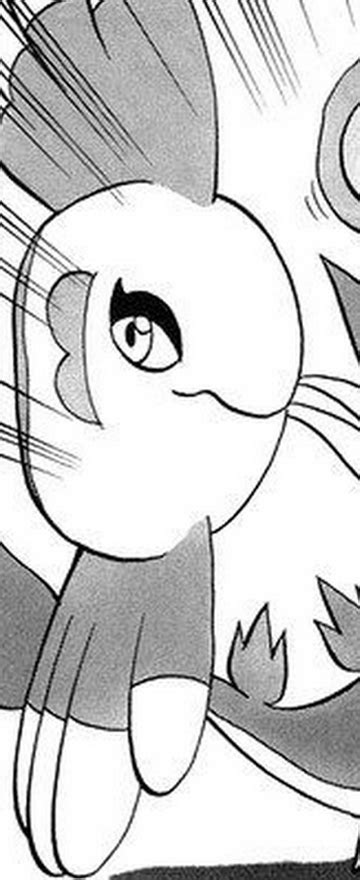 Pokemon Nancy
