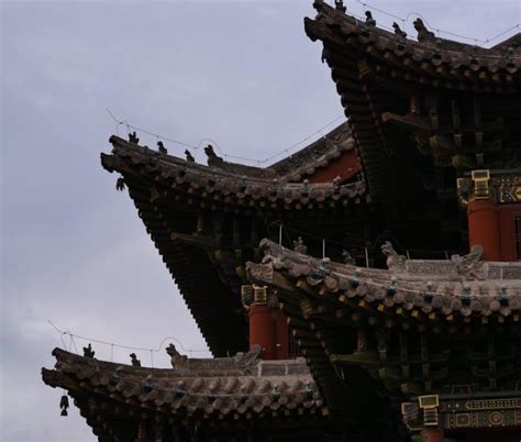 二维码溯源码扫出来竟然是数字？ 引瓴数智