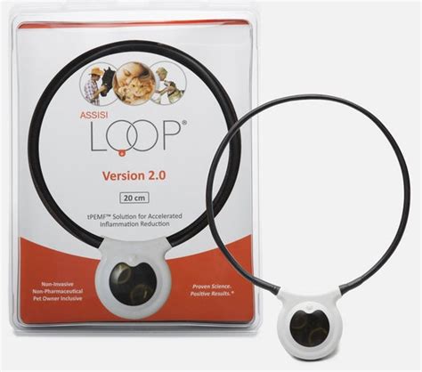 Assissi Loop For Birmingham Al Pets