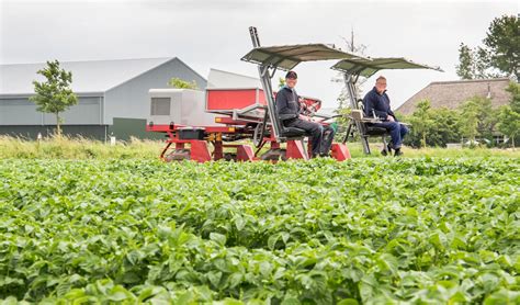 Dauwtrappen Met Boer Simon Wilms In Anna Paulowna Rodi