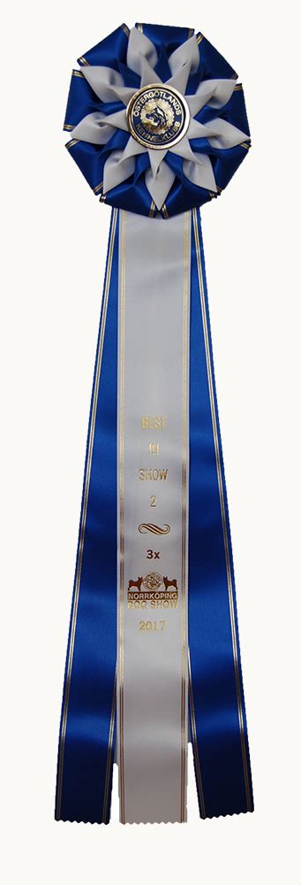 Schleife Mit Einer Rosette Kronenförmiger Rosette Stern 3 Bänder Monomak Seit 1977