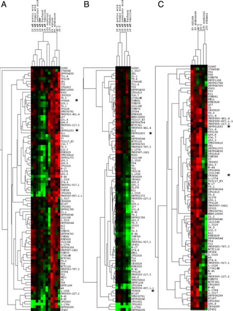 Cluster Analysis Of Combined Yeast Data Sets Data Was Drawn From