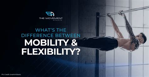 Whats The Difference Between Mobility And Flexibility The Movement