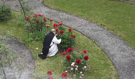 Doctor And Monk The Life Of Brother Michael Strode Mercator