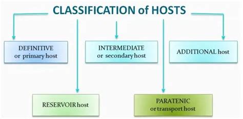 Types Of Host And Host Parasite Relationship • Microbe Online