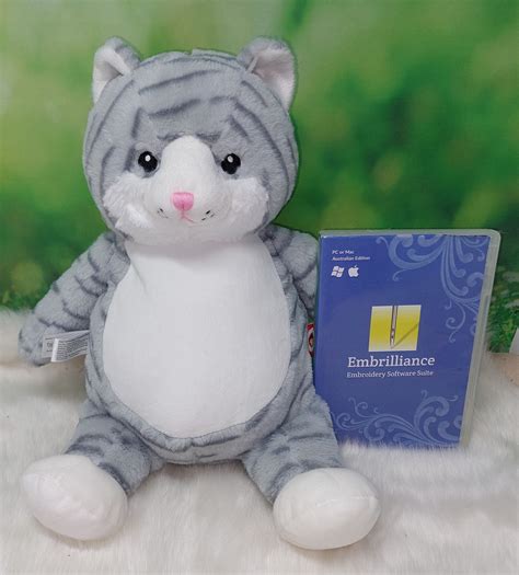 Misty The Grey Tabby Cubbies Cat Beary Nice Nz