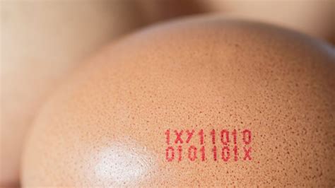 harga inkjet coding machine terlengkap 2025 dari gressler gressler indonesia official