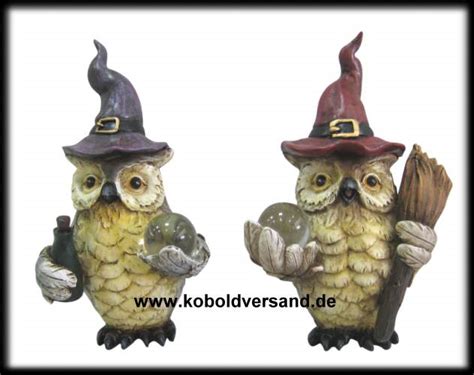 Zauberer Als Eule Mit Kugel