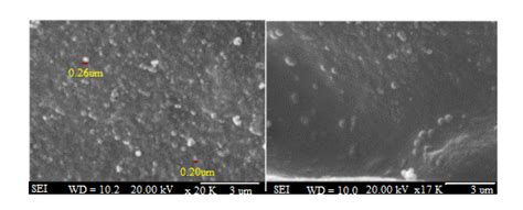 Size And Morphology Of The Optimized Formulation Download Scientific