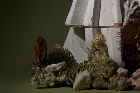 Reef Rocket Is A Bio Cement Reef Grown From Plant Enzymes