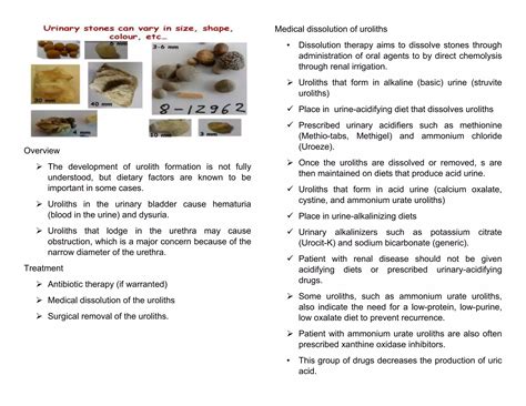 Urinary System Drugsdocx