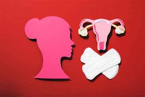 Diferencias Entre Metrorragia Y Menorragia