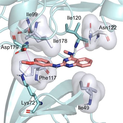 Representation Of 3d Intermolecular Interactions Of Compound 542