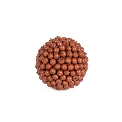 Berry Balls Coco 4 Inch Mills Floral Company