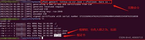 Cfssl使用方法重新整理说明 Csdn博客 Cfssl使用方法重新整理说明 Csdn博客