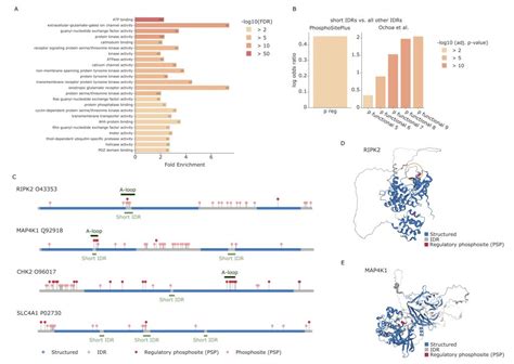 Adding The Third Dimension To Protein Modifications Analysis Protrein