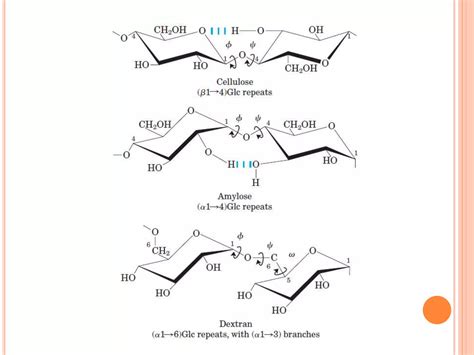 Chemistry And Structure Of Polysaccharide Ppt