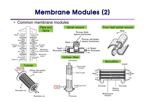 Membrane Separation Pdf