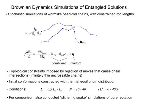 Ppt Entanglement In Solutions Of Semiflexible Polymers Powerpoint Presentation Id304970