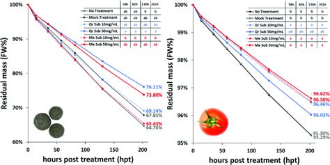Residual Mass Of Blueberry And Cherry Tomatoes Over 202 Hours With And