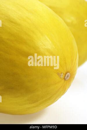 Espagnol Jaune Melon Cucumis Melo Fruits Contre Fond Blanc Photo Stock Alamy