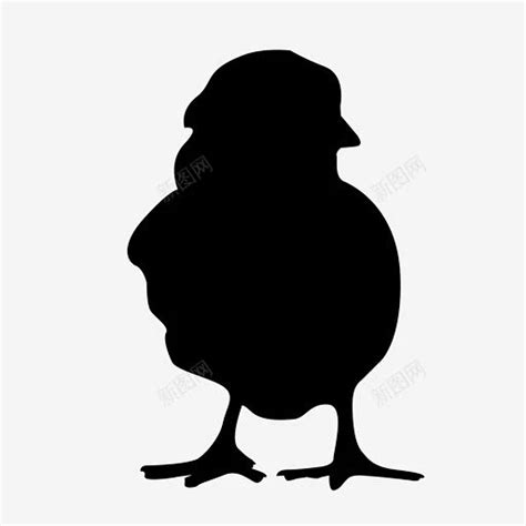 小鸡4 创意素材 花瓣网