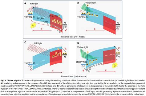 Switchable Nir To Visible Organic Photodetector F4news