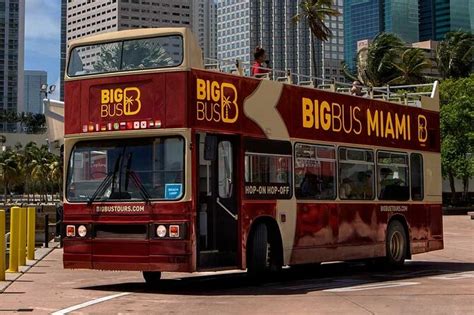 Miami Pass All Inclusive Tour With Airport Transfer And Lunch 2024 Viator