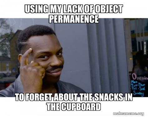 Using My Lack Of Object Permanence To Forget About The Snacks In The