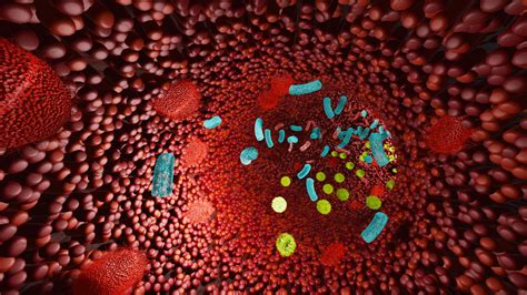 Polyphenols The Science A Deeper Dive