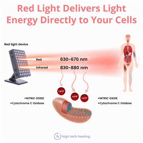 Biohacking Wellness Tech At Home Technology 1 Rbiohackers