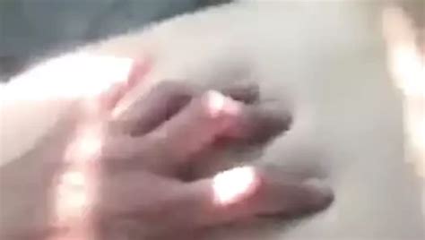 メガまんこ潮吹き Xhamster