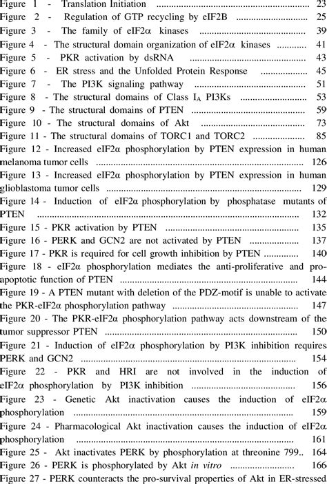 Figure 1 From The Eif2alpha Phosphorylation Pathway As A Novel